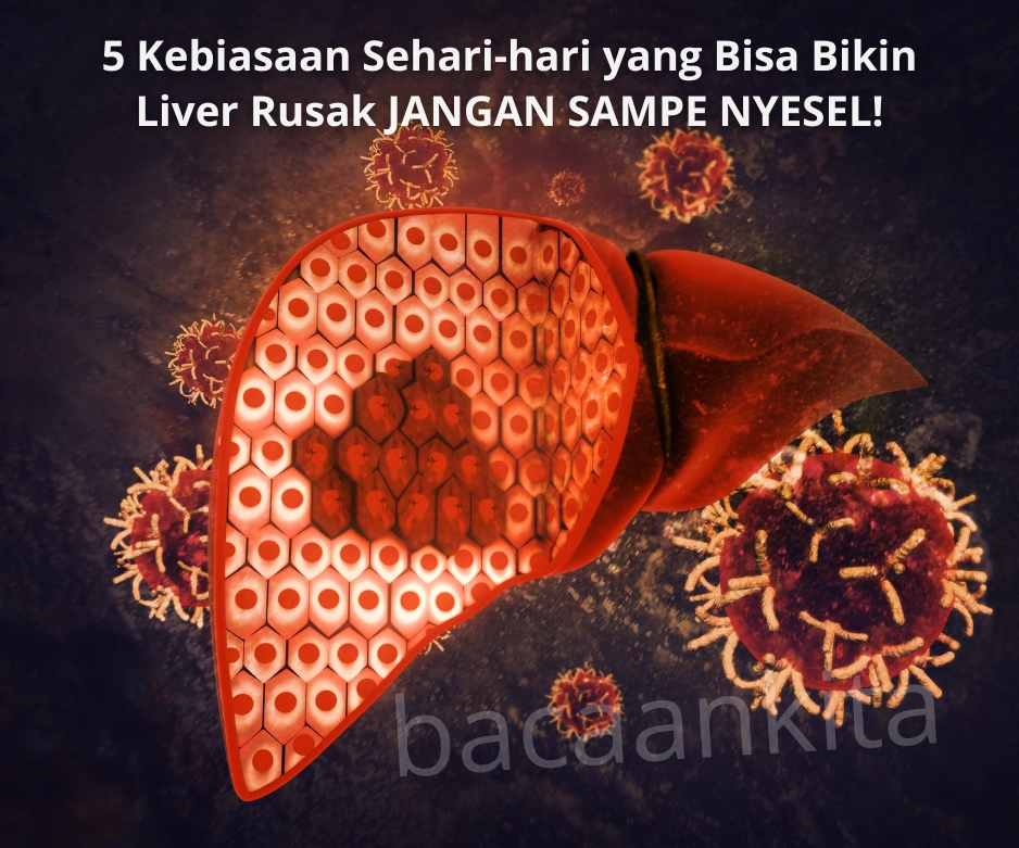 5 Kebiasaan Sehari-hari yang Bisa Bikin Liver Rusak JANGAN SAMPE NYESEL ...